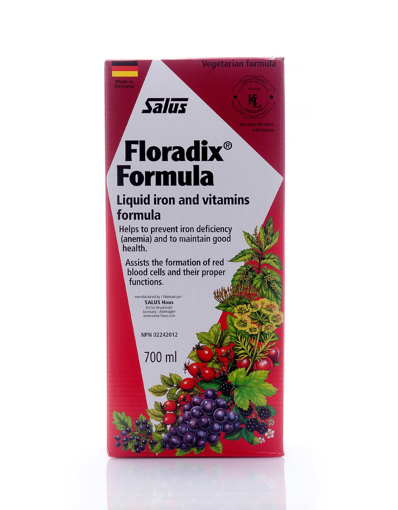 Salus by Flora Floradix Formula iron supplement – Nature's Essence